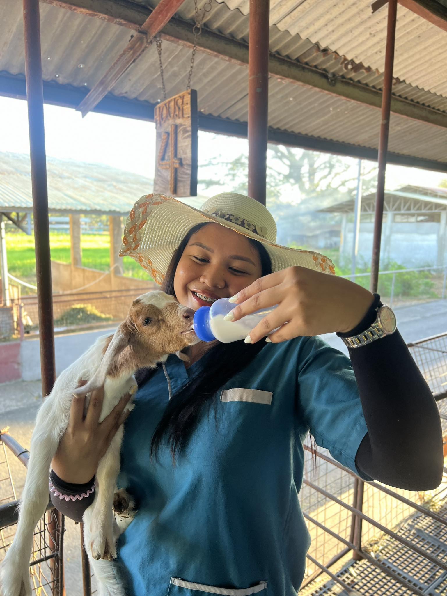 CLSU College of Veterinary Science and Medicine